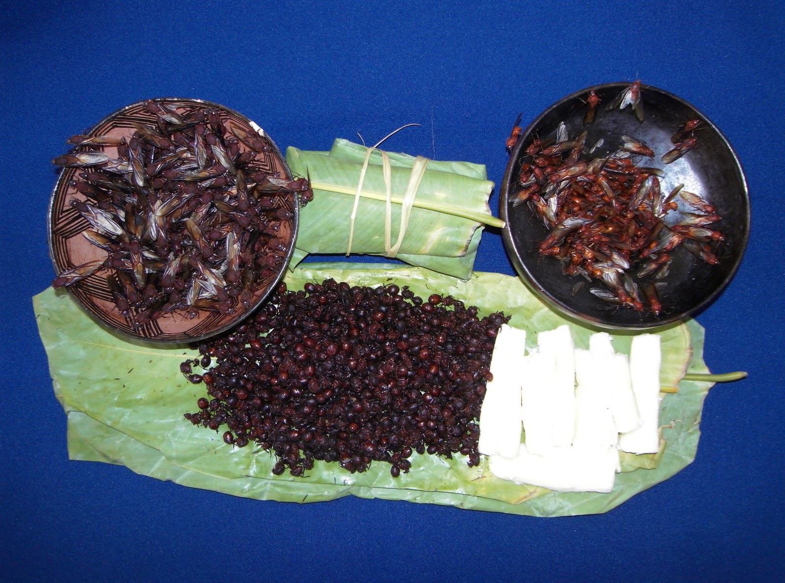 PETROGLIFOS DEL VALLE SAGRADO DE COTUNDO, CULTURA Y NATURALEZA ...