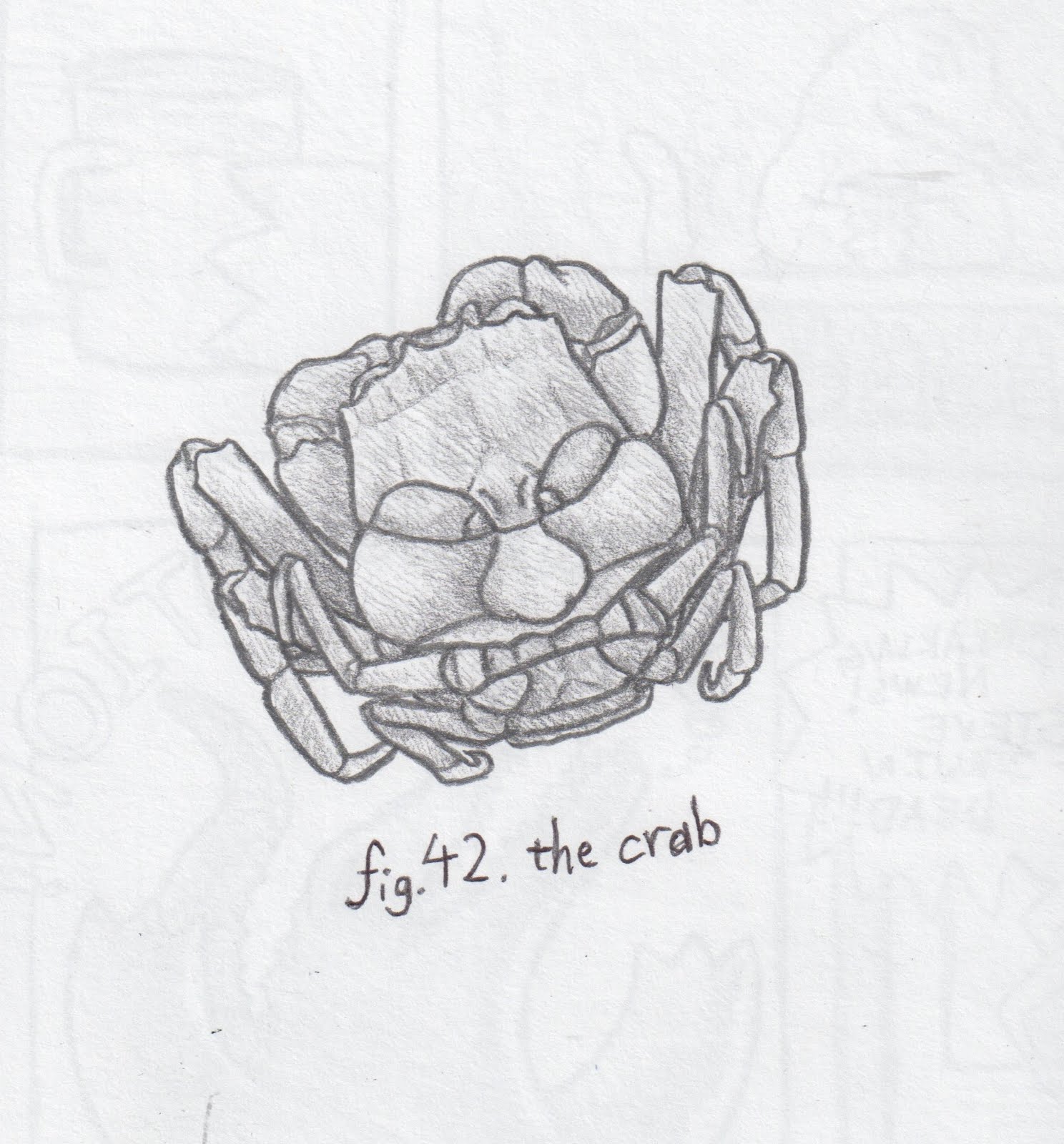 Jun Makes Stuff: #59 The Crab (Heike crab or Heikegani)