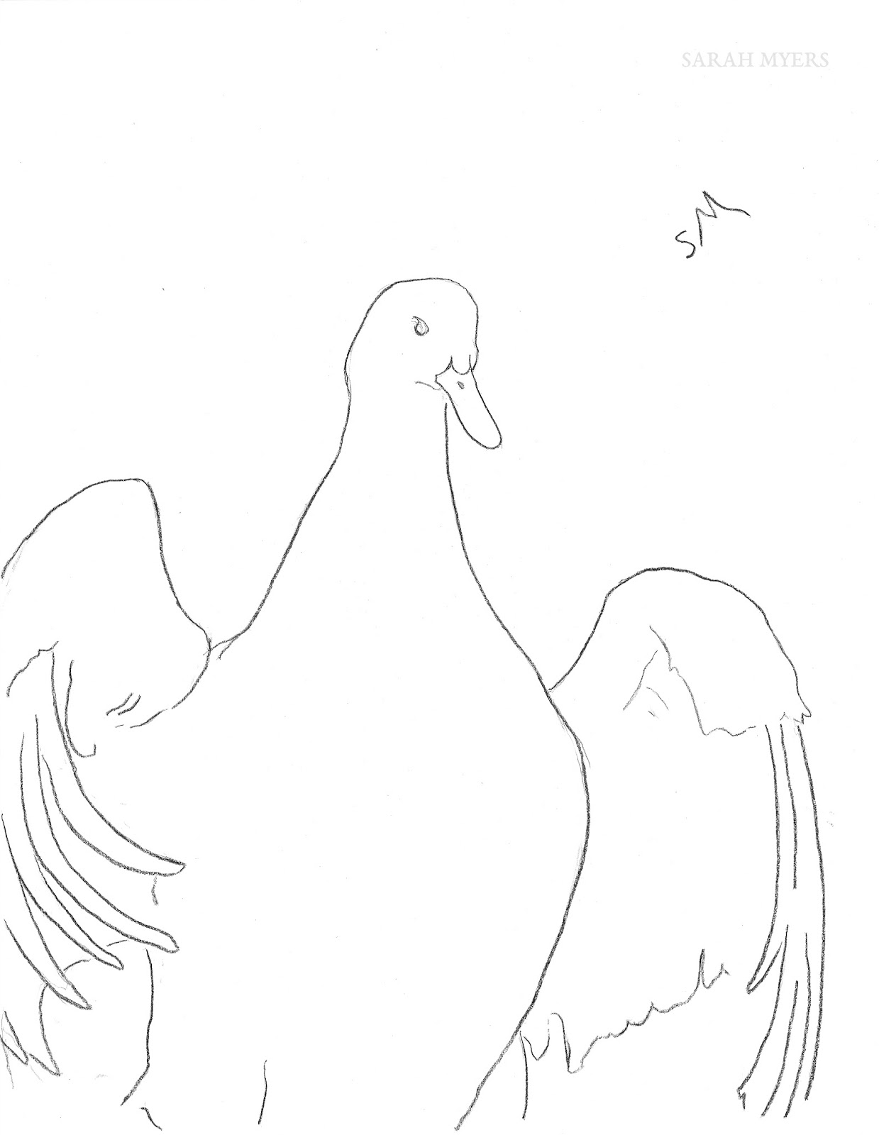 The Other Oeuvre: Duck Flapping - Drawing by Sarah Myers