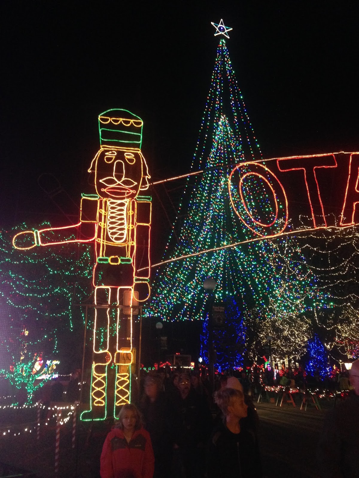 Amy's Creative Pursuits: LaCrosse Rotary Lights