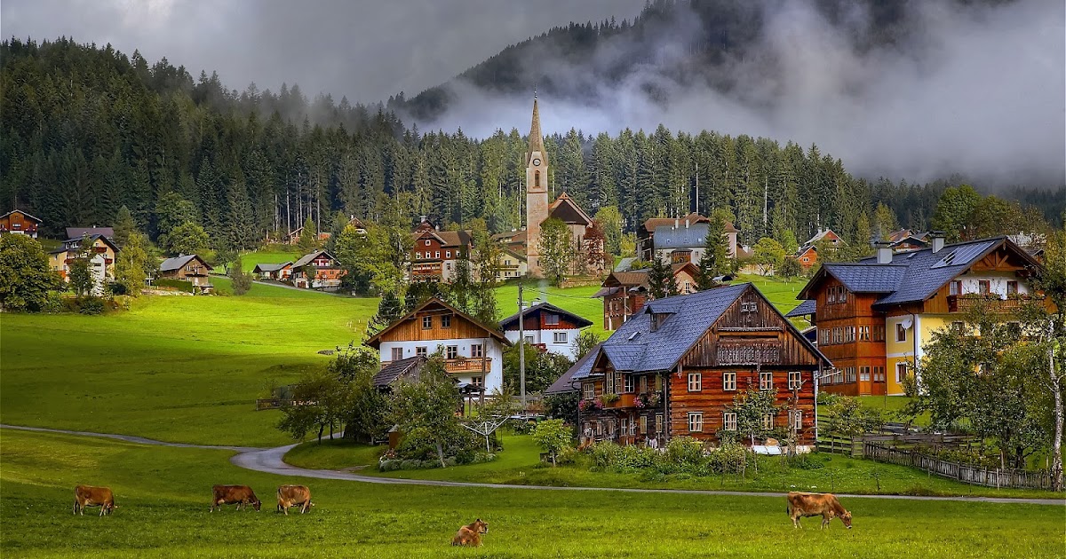 OUR ENGLISH CLASS: City vs Countryside