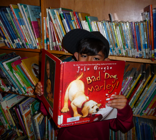 Mrs. Yollis' Classroom Blog: Read Across America!