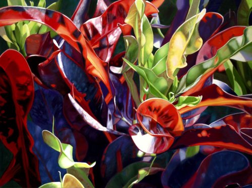 Pieces of Eight: Exuberance, 36x48 Oil on Canvas by Denette Schweikert