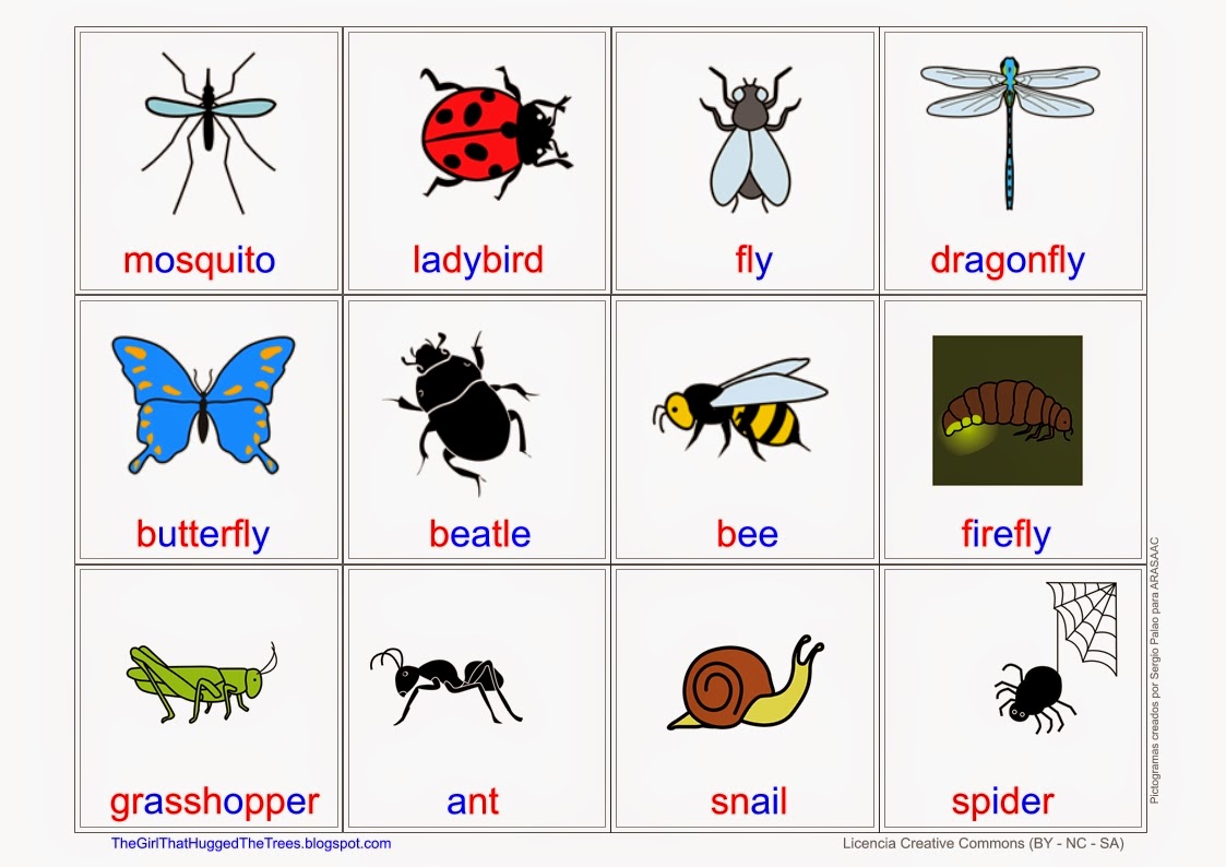 Babel - Free Language/Speech Therapy Resources. (PECS/ Montessori ...