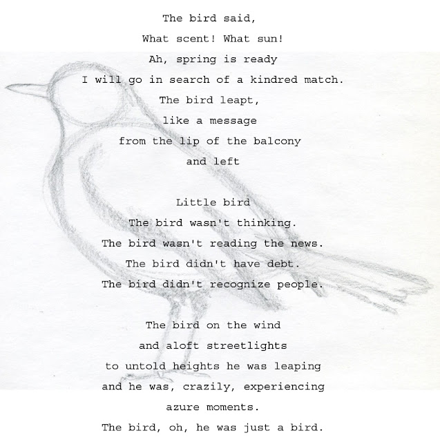 can't live without...: The bird was just a bird......