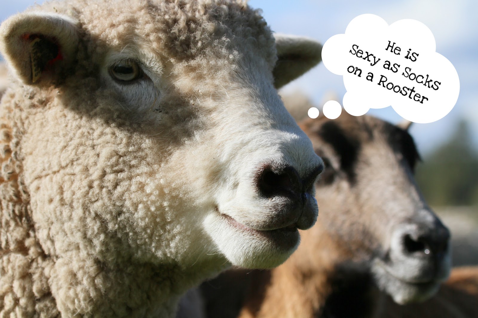 BCxFour: October 2011