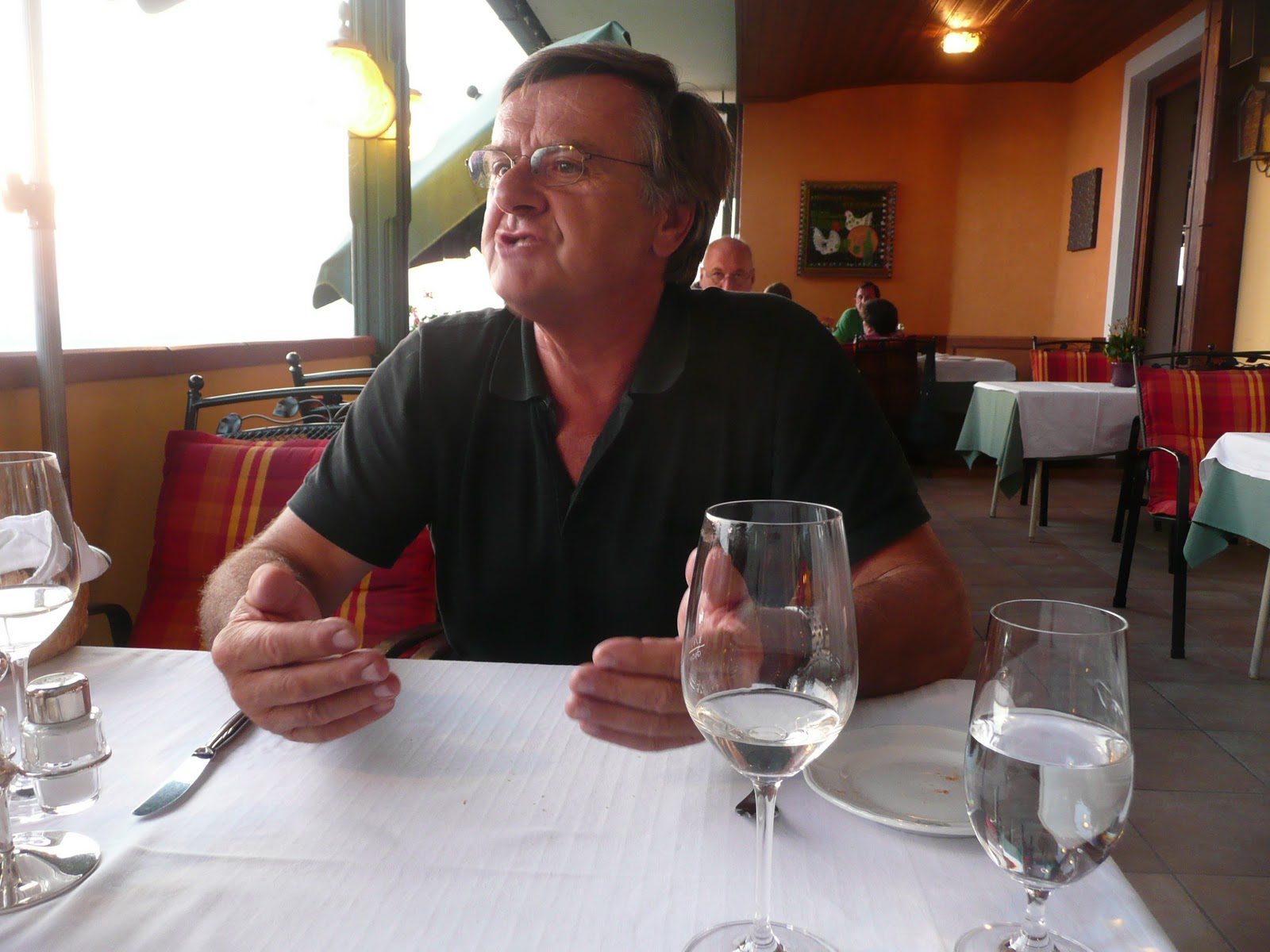 schiller-wine: Dinner with Wine Maker Gerhard Wohlmuth sen., his Wines ...