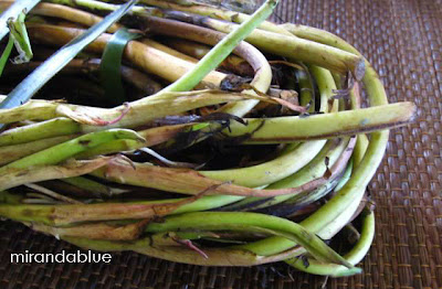 Miranda: Adobong Takway