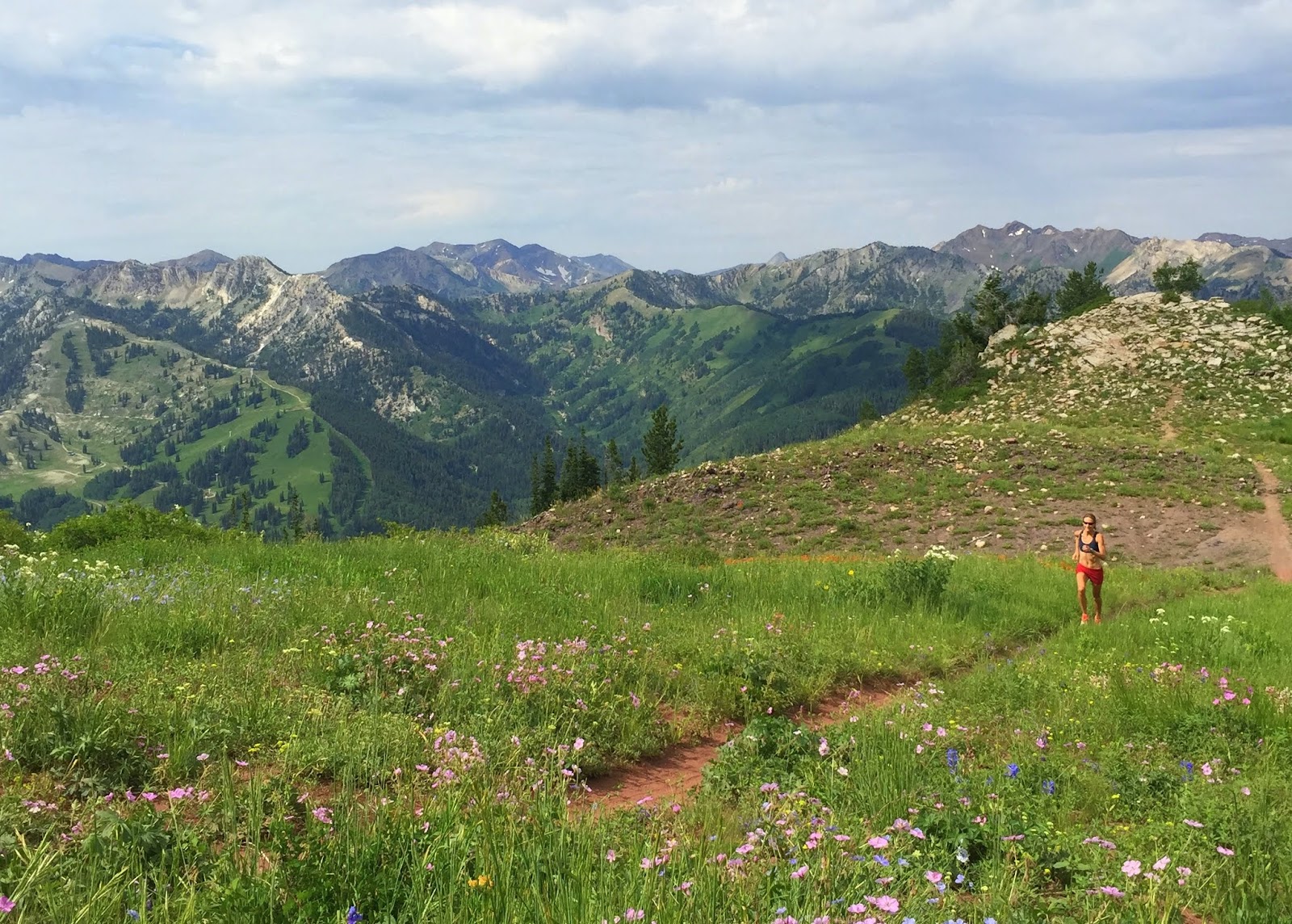wasatch and beyond: Pipeline, Mid-Mountain, and Wasatch Crest Trail Runs