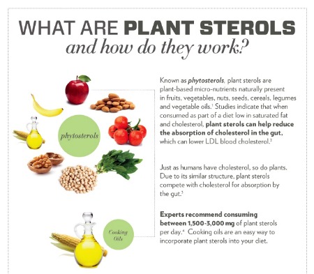 OUTSMART YOUR CHOLESTEROL: What are Stanols and Sterols?