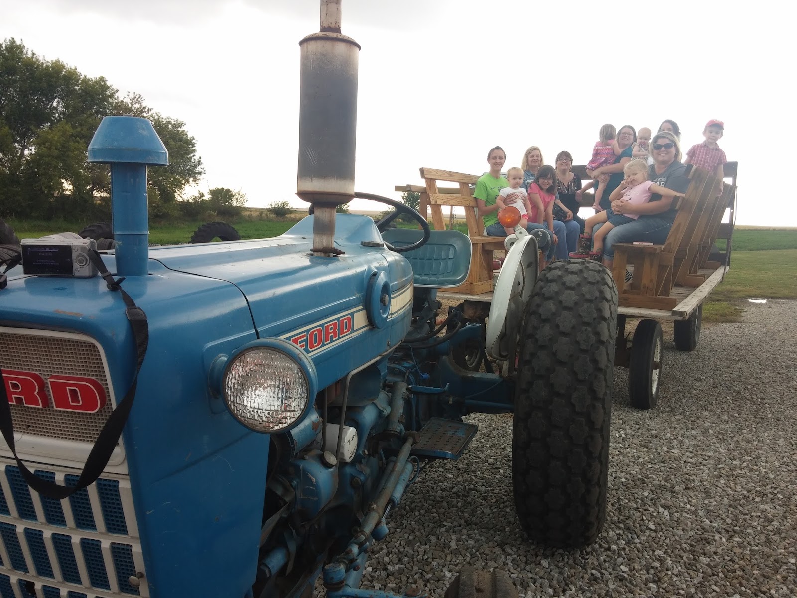 Corn, Beans, Pigs and Kids: 5 Ways to have Fall Family Fun at Enchanted ...