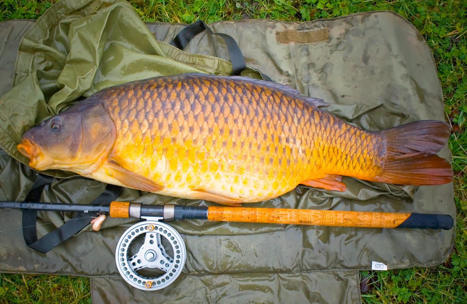 Keiths Angling Blog: Perch PB!