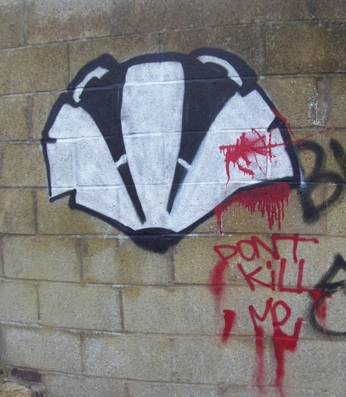 Ruscombe Green: Guest Blog: Martin Hancox on badgers