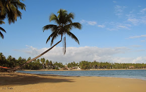 Ningún lugar está lejos... en RD: Para perderse: playa Blanca (Azua)