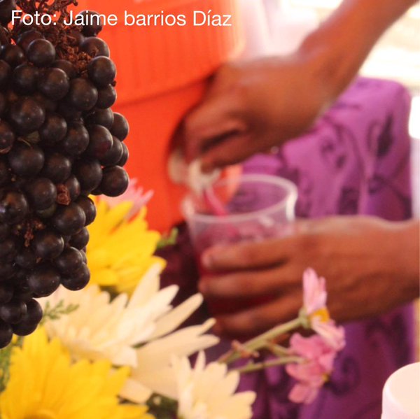 Parnassus Americano: XOXOGO O CHOCHOGO Antonio Fco. Rguez. A.