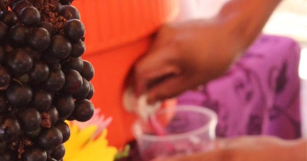 Parnassus Americano: XOXOGO O CHOCHOGO Antonio Fco. Rguez. A.