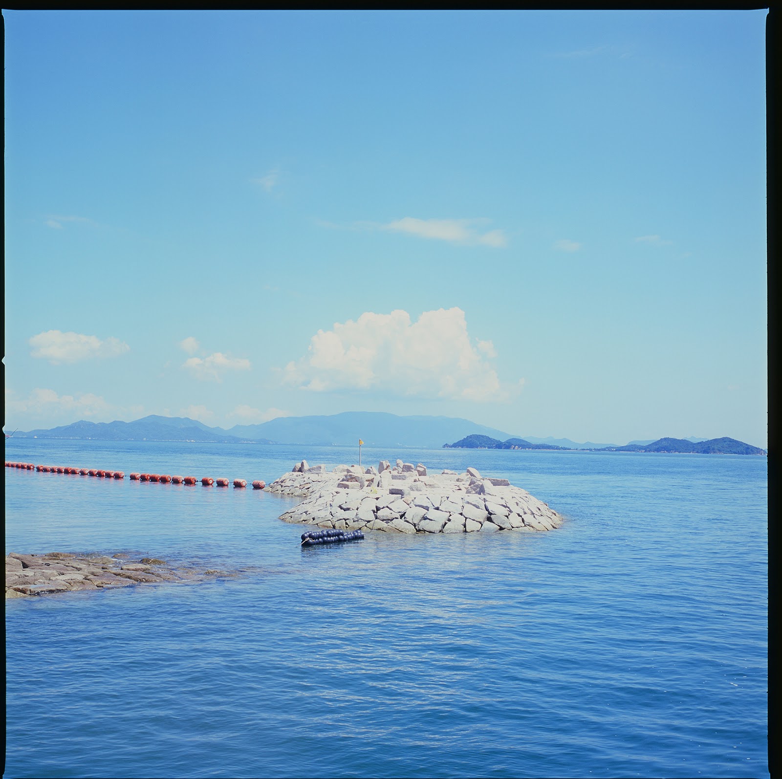 siuding 小丁: 2019.04