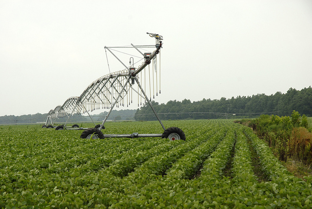 Center Pivot Irrigation: The Real Crop Circles ~ Kuriositas