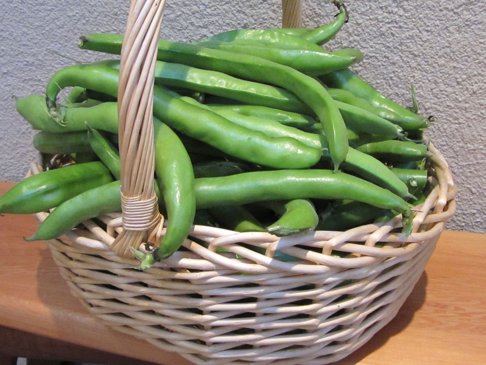 EZ Raw Vegan Living: Gardening