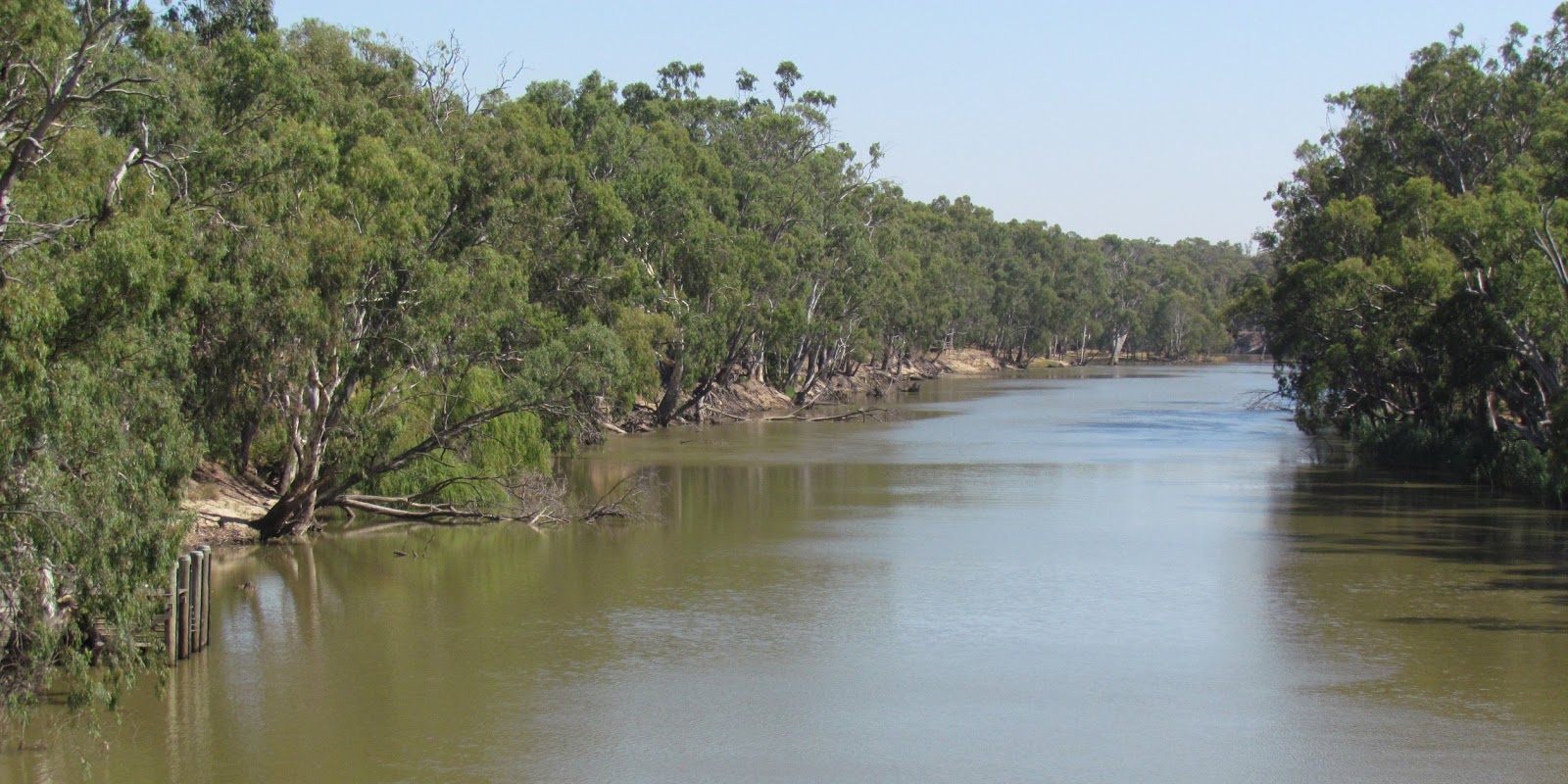 SV Erica's travels: Sth Africa to NZ to Deniliquin, NSW, Australia ...