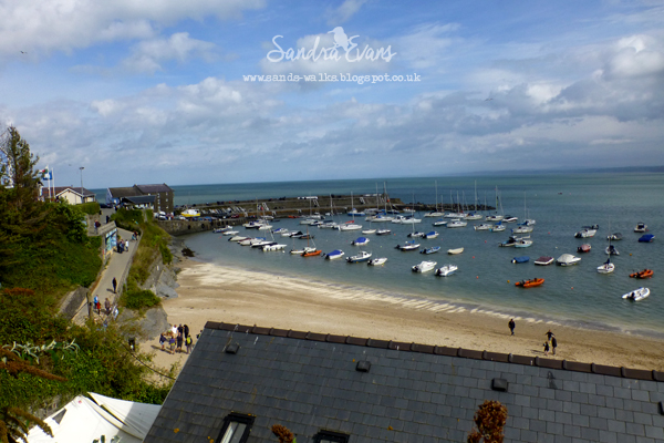 Sand's Nature Walks: World Record at Cardigan Bay Marine Wildlife Centre