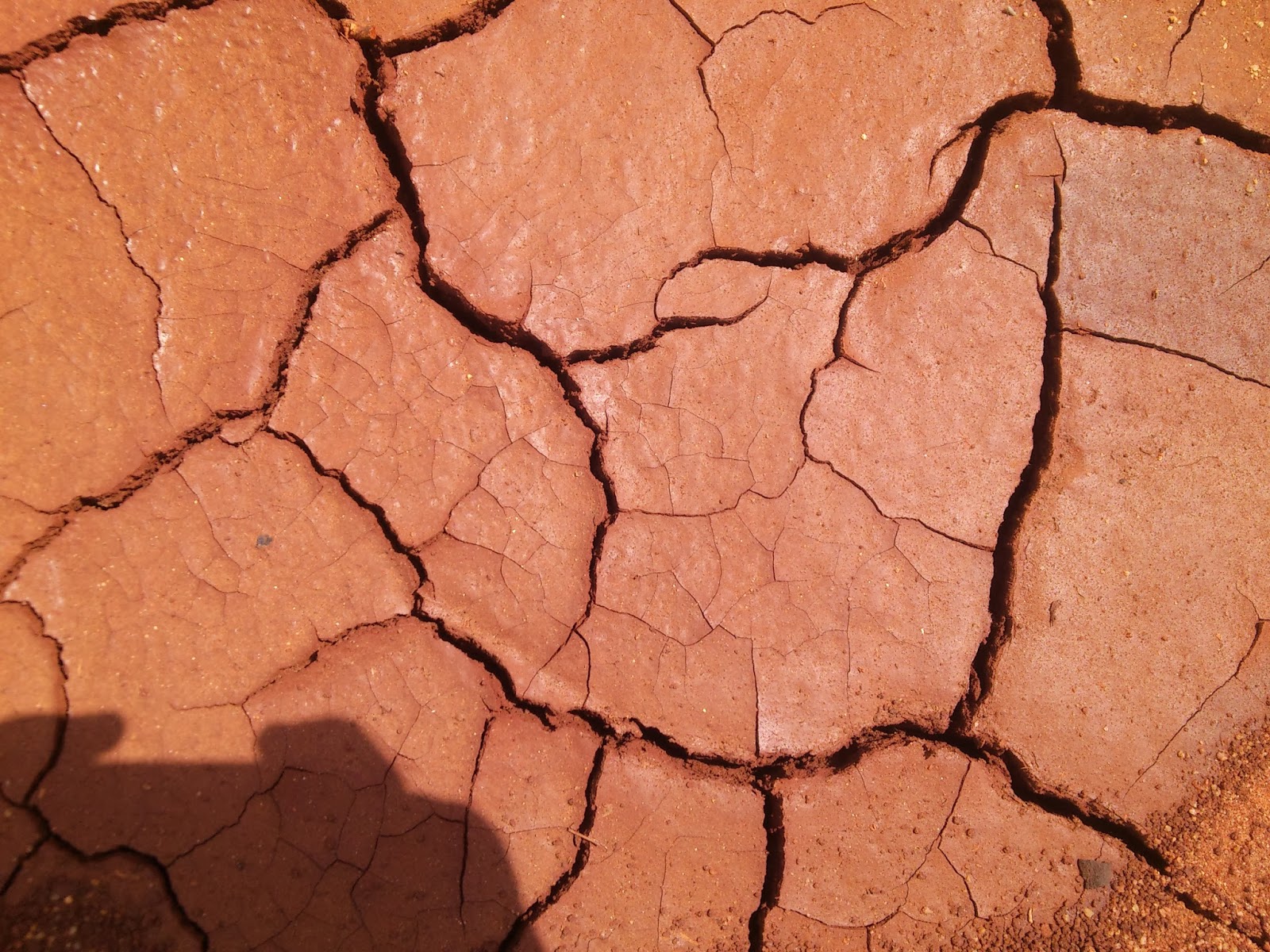 Rukshan Maliq's Blog: The Intricacies of Mud Crack Formation