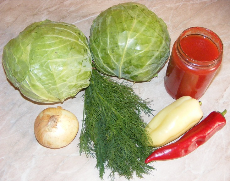 Varza noua cu carne | Preparatedevis.ro