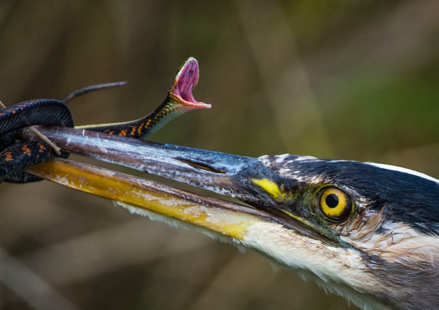 WAZIPOINT Engineering Science & Technology: যে ছবি আপনাকে ফটোগ্রাফার বানাবে