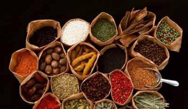 GOLD DOME: TANAMAN PALAWIJA