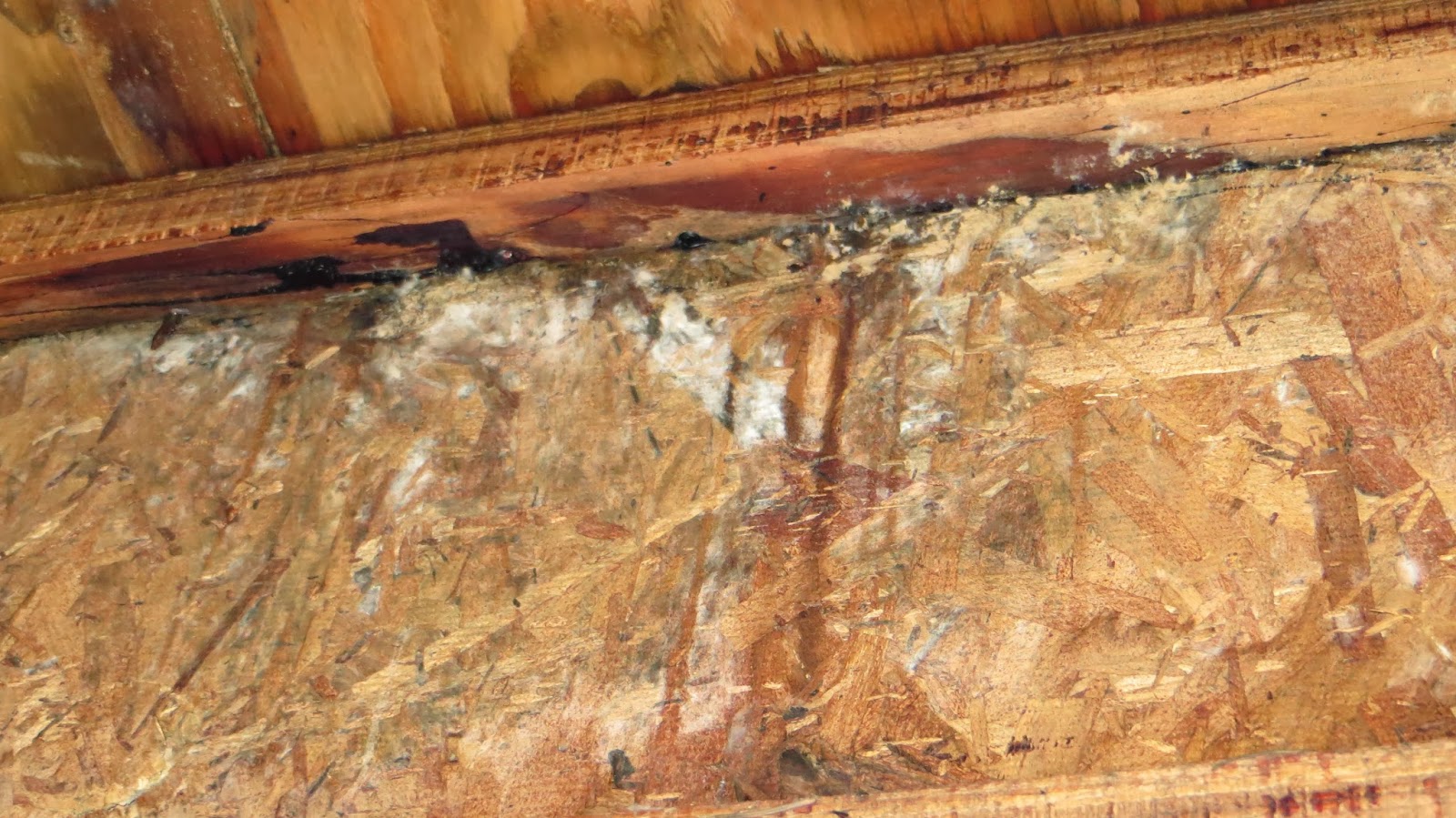 The Path to Sustainable Living?: Rotting OSB - Why I refuse to perform ...