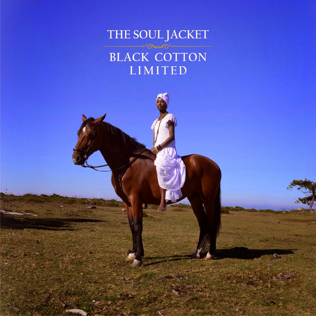 The last Dj´s refugee: The Soul Jacket. Black Cotton Limited