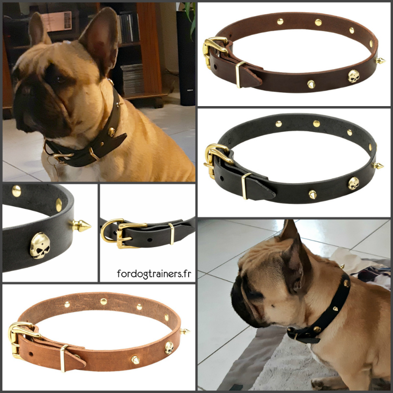 ForDogTrainers - accessoires pour chiens: Collier chien en cuir «Rock ...