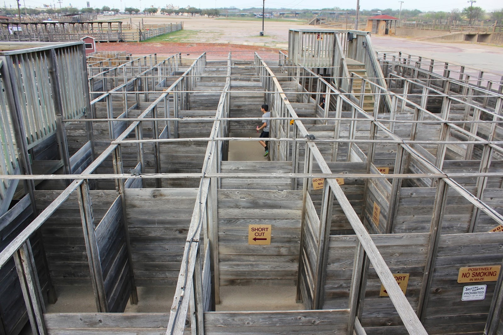 Living in Texas: Fort Worth Stockyards - MADE EVERYDAY
