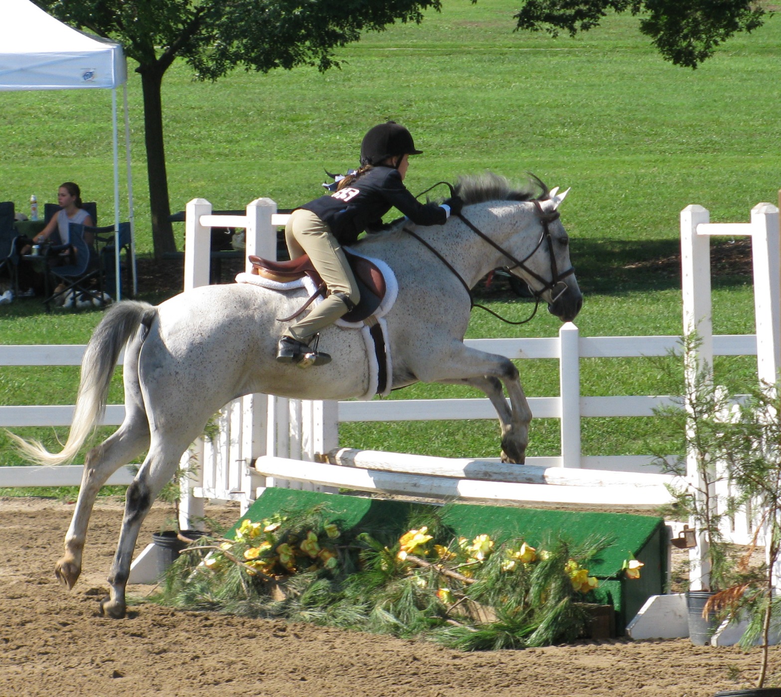 Girls and Thier Horses: Pony Jumping