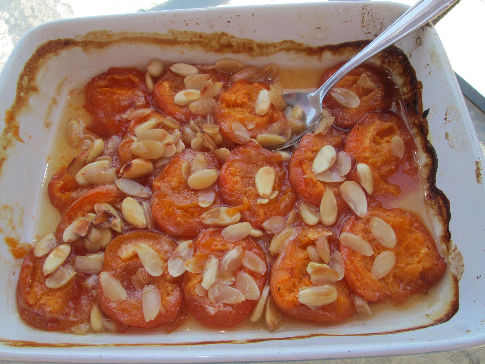 Canela kitchen (gloria): Roasted apricots with honey