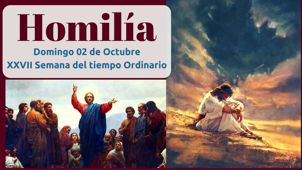 Parroquia San Antonio de Padua Tamaca: Homilía ~ Domingo 02 de Octubre ...
