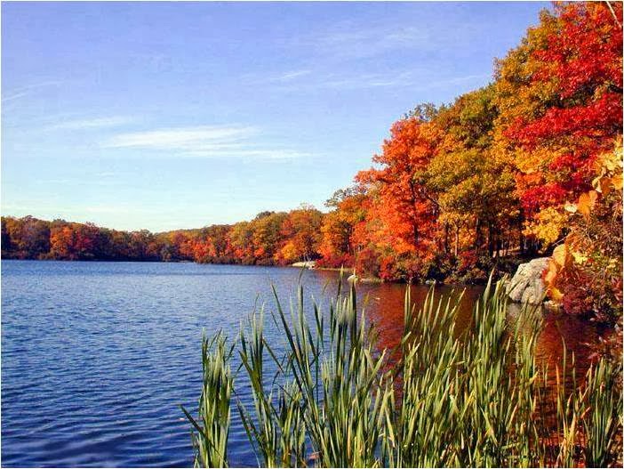 Wellness Ayurveda: Health Care in Sharad Ritu (Autumn)