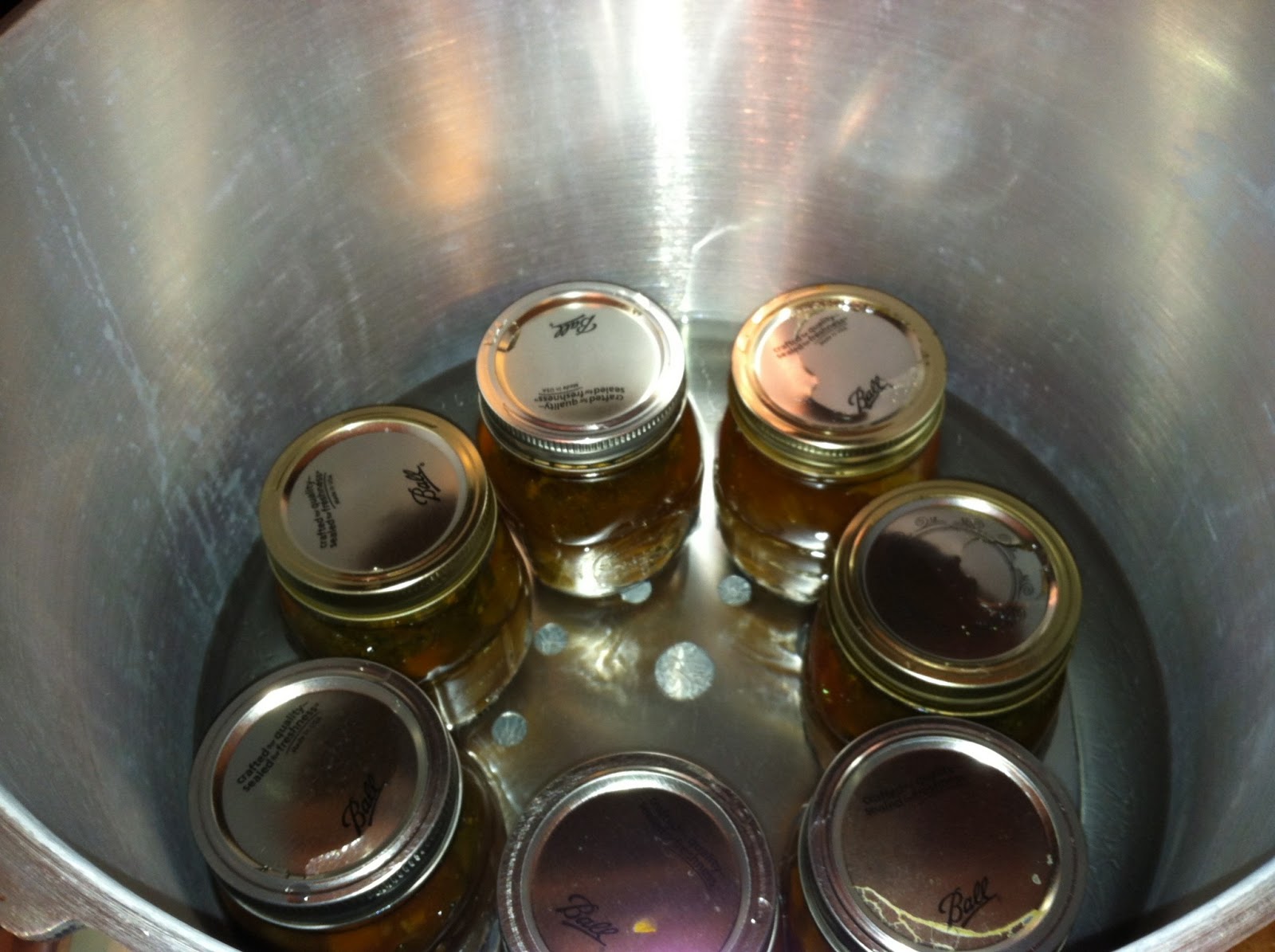 Adventures in Paleo Cooking: Paleo Canning - Gazinta Soup