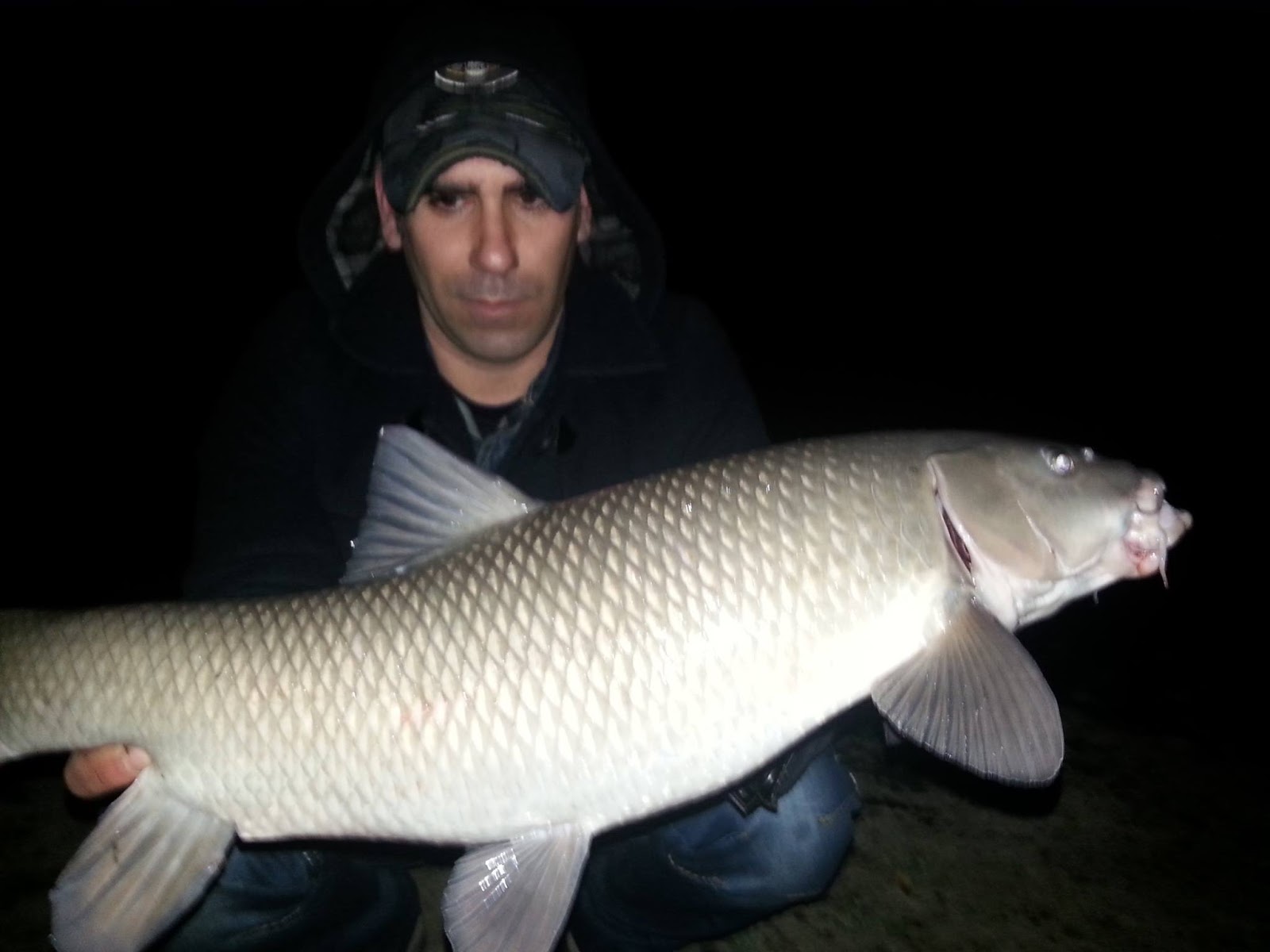GCM GIANT CARP MIX Carpas gigantes Portugal