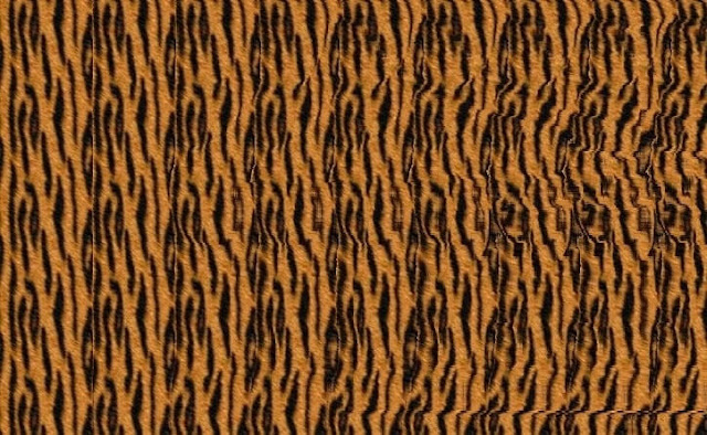 Mind Twister Stereogram Picture
