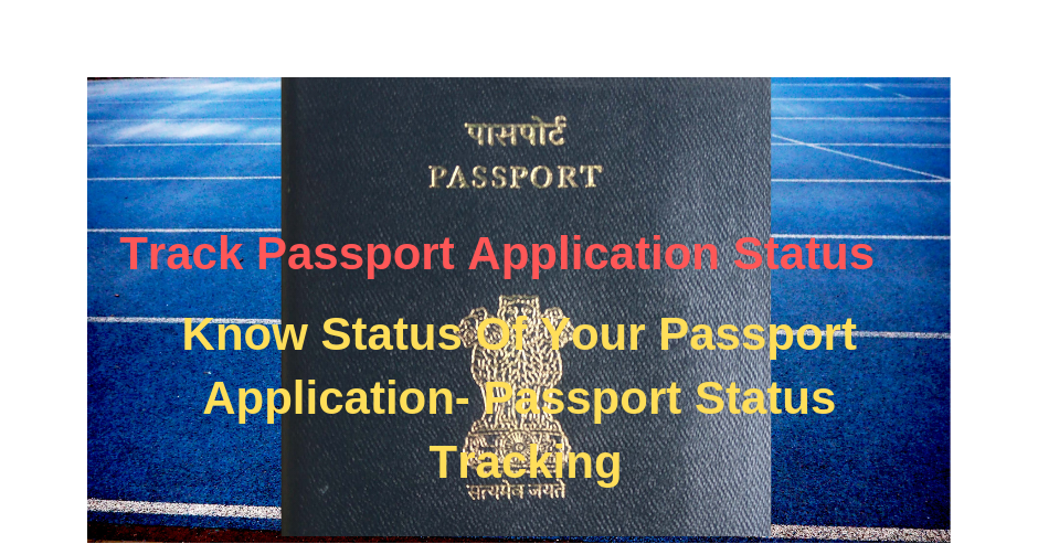 Passport Status Tracking- Check Your Passport Application Status (4 Methods)