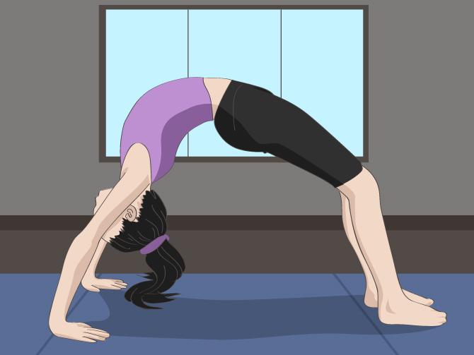 jose julian zapata: DESTREZAS DE LA GIMNASIA