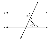 R.D. Sharma Solutions Class 9th: Ch 8 Lines and Angle MCQ