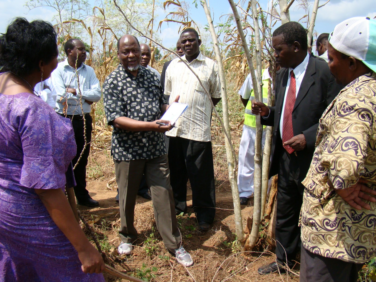 Inawezekana: Mti wa Mlonge