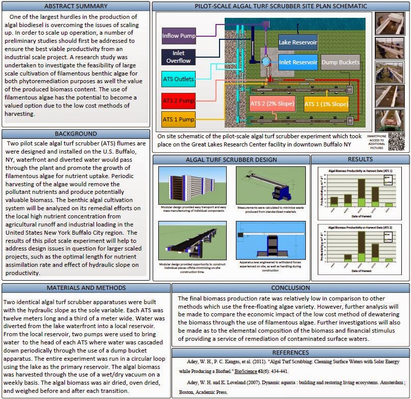 The Renaissance Engineer: Buffalo Algal Turf Scrubber Project