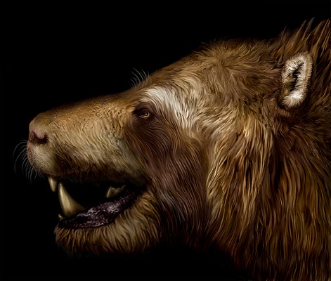 Animales prehistóricos: Proborhyaena gigantea