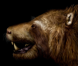 Animales prehistóricos: Proborhyaena gigantea