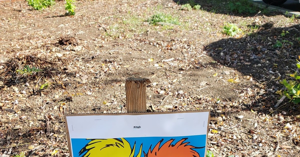 Words Worth: Vote Lorax for City Council sign near city parking lot on ...