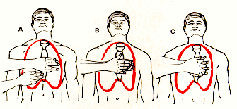 Tu enfermera : ¿Cómo se hace la RCP?