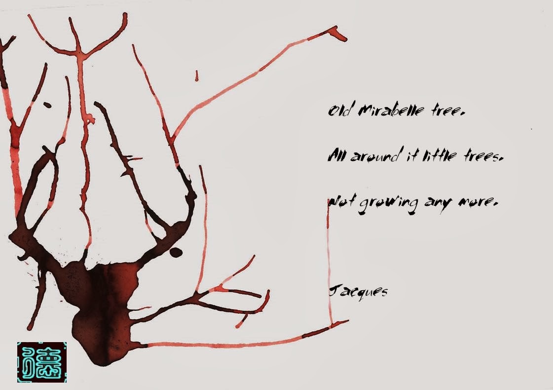 Year 4 @ IST: Haiku poems with trees in 4G